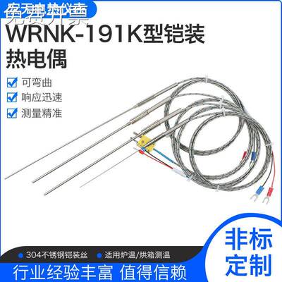 铠装热电偶WRNK191分度号T/E/J/K型Pt100热电阻171温度传感器探头