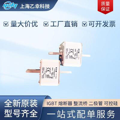 巴斯曼熔断器 170M5568 170M5569 170M5588 170M5589 170M5590
