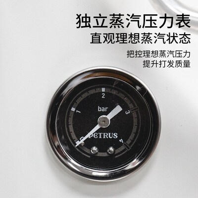 柏翠PE3922双锅炉商用咖啡机小型家用全半自动意式奶泡浓缩萃取