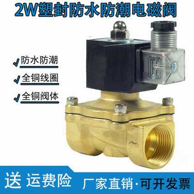 室外防水防雾防潮电磁阀水阀开关阀220VDC24V气阀排水DC12V4分