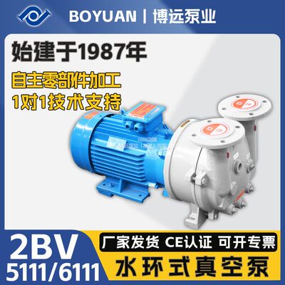 2BV5111/6111水环式真空泵5.5kW铸铁304抽真空液环泵防爆自吸