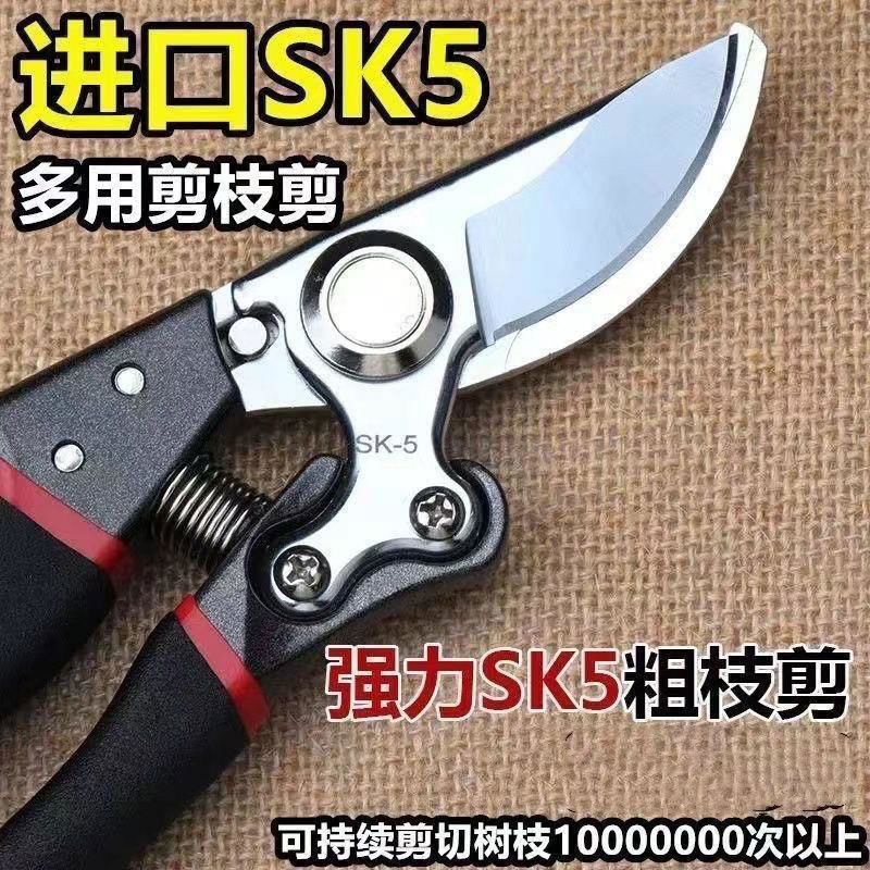 锰钢剪树剪子果树剪粗枝树枝修剪刀新款SK5原装家用花卉园艺