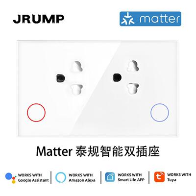 原厂泰标智能插座HomekitWIFI