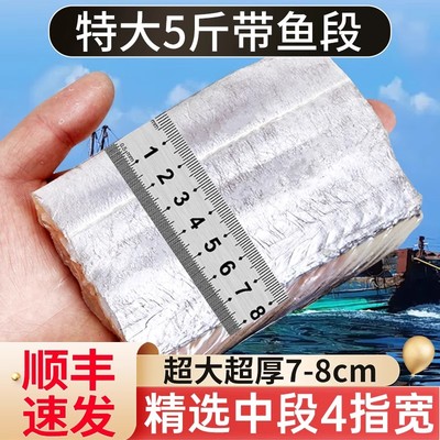 带鱼中段无冰特级大号