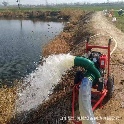 农用灌溉ASE抽水机家用浇林地水吸农田浇地园泵灌溉抽水泵