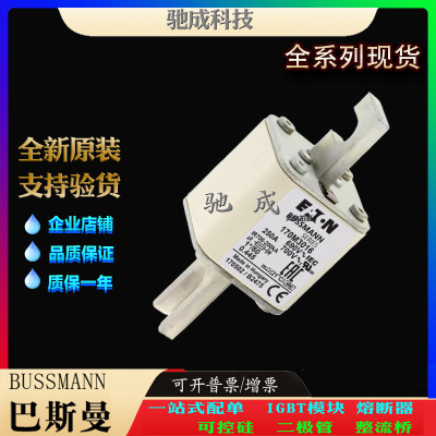 巴斯曼170M3016 170M3017 170M3018 厂价直销质优价廉 快熔保险丝