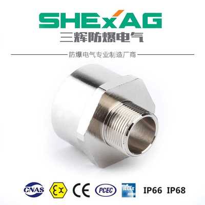 防爆变径头（增径件）BDM-20 变径管接头防爆格兰头电缆配件