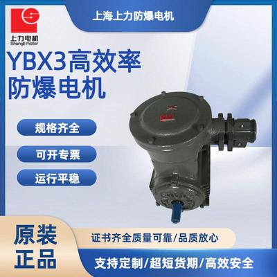上海防爆电机YBX3系列(ExdIICT4Gb)隔爆型高效三相异步电动机