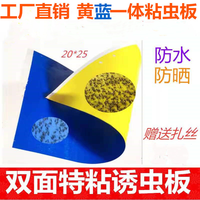 粘虫板黄蓝一体诱虫贴农用沾虫灭果蝇蓟马小飞虫黄板诱虫特粘果蔬