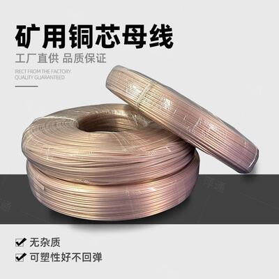 矿用铜芯母线2*7*0.3数码管延长线 隧道开采用连接线铜芯线子线