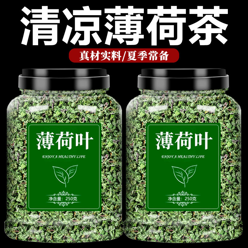 薄荷叶新鲜可食用干特级中药材泡茶泡水喝的东西调酒夏季清凉茶叶