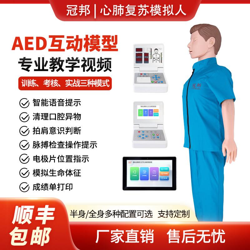 心肺复苏模拟人半全身急救橡皮人医学用人体教学模型人工呼吸假人