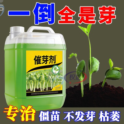 老桩催芽剂花卉营养液促芽僵苗快速发新芽防黄叶生根催芽绿植通用