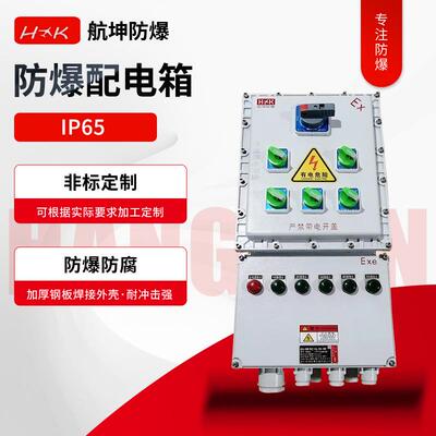 零售配电箱变频器EXPLC防腐控制柜动力照明箱接线箱防爆配电箱