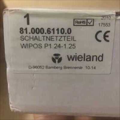 wieland威琅wipos P1 24-1.25电源81.（耶耶电子）