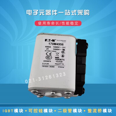 170M4367 4368 4388 4389 4390 4391 4392 4393快速熔断器保险丝