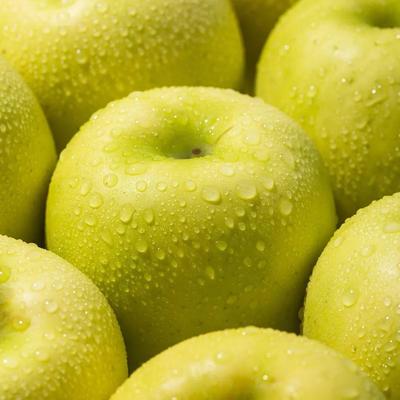 正宗瑞雪西农大科研选育基