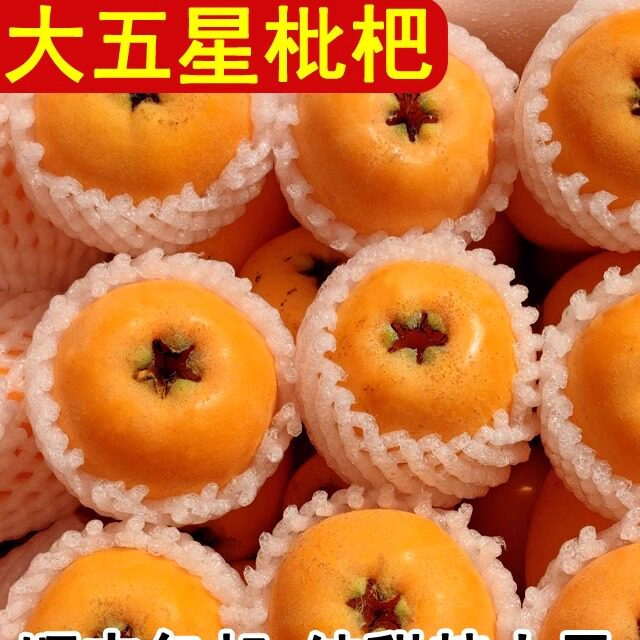枇杷特大果四川大五星枇杷鲜果甜琵琶当季新鲜米易水果整箱顺丰