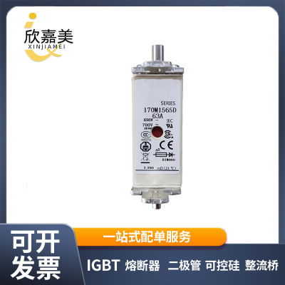170M1565D 170M1566D 170M1567D 快速熔断器 电子元器件 量大价优