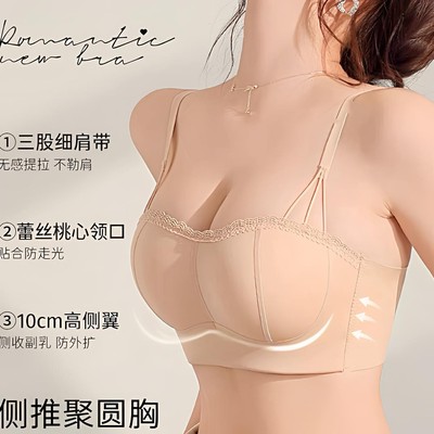 栀得女士秋冬小蕾丝一片式无缝聚拢小聚拢文胸小胸显大好看款6102