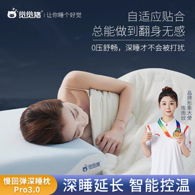 觉觉猪深睡枕PRO记忆枕第三代护颈枕成人枕头慢回弹侧枕睡眠枕头
