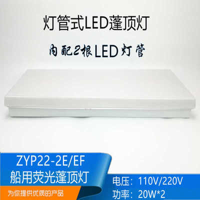 **船用灯管式LED嵌入双管荧光蓬顶灯具JPY/ZYP20-2/2E/2D/2ED*