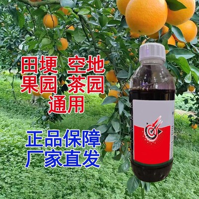 正品保障茶园果园房前屋后田埂空地通用大瓶装复合肥