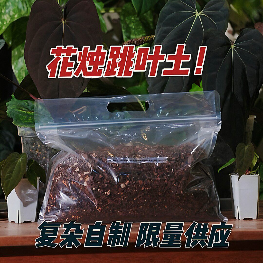 柳卜一 花烛热植 跳叶土 营养土 专业 配土 育苗土 颗粒土不烂根