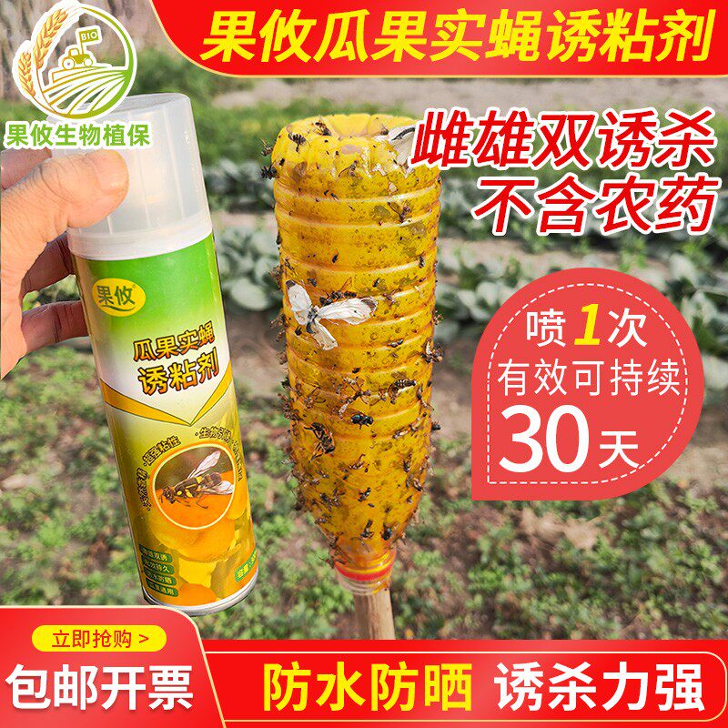 果攸诱粘剂粘蝇纸瓜实蝇果树蔬菜针蜂果实蝇果蝇黄板