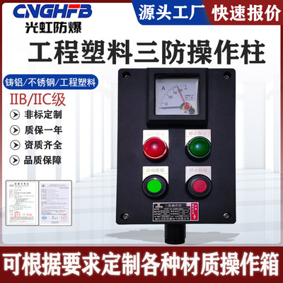 LCZ8030-A2D2KIB1防爆防腐操作柱工程塑料防水防尘防腐远程控制箱