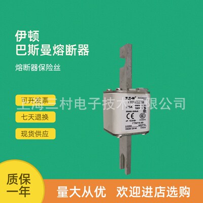 全新原装快速熔断器保险丝170M3391 170M3392 170M33S93 170M3394