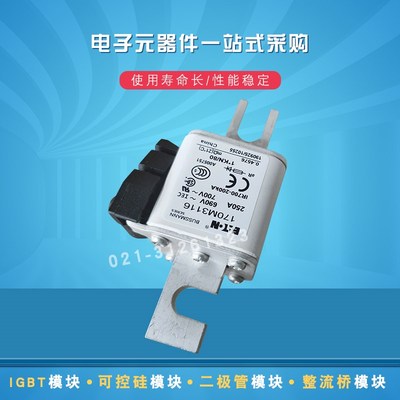 快速熔断器保险丝170M3016 3017 3018 3019 3020 3021 3022 3023