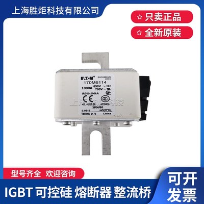 170M6110/6111/6112/6113/6114/6115/6116/6117/6118/6119熔断器