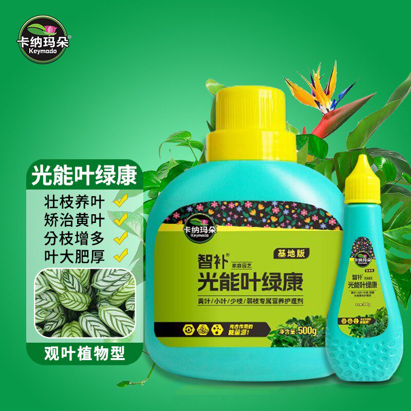 卡纳玛朵光能叶绿康营养液植物通用型叶绿素发财树幸福树家用园艺