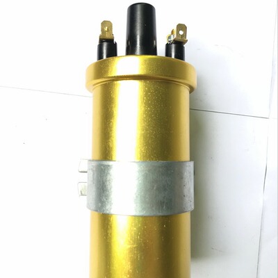 高性能12V油浸式点火线圈 DLB105-金色