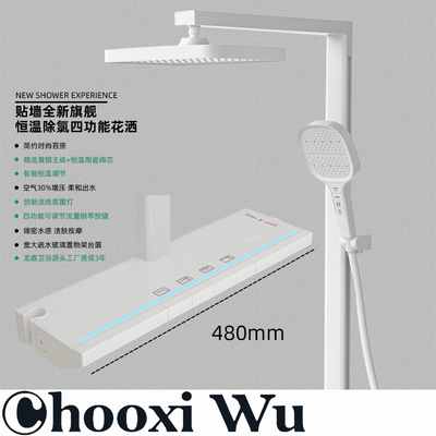 CHOOXIWU奶白色四功能淋浴花洒