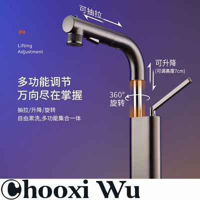 CHOOXIWU多功能升降抽拉冷热面盆