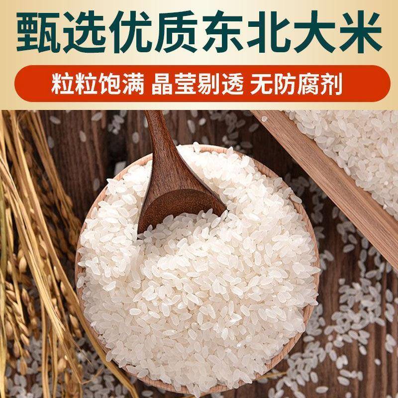 自热饭米包方便米饭开水冲泡速食覆水免蒸免煮脱水米户外露营