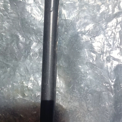 赛默飞电极刷S422255，黑色柄（一号仓16-2*1）