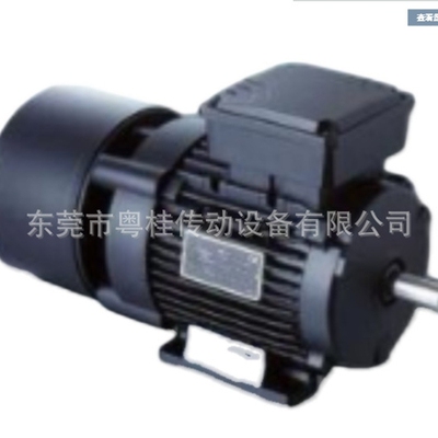 现货意大利ICME电机 T63A2 0.18KW 意大利三相异步马达