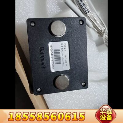 Datapoint数点测控温湿度传感器，型号DP-T-LGB
