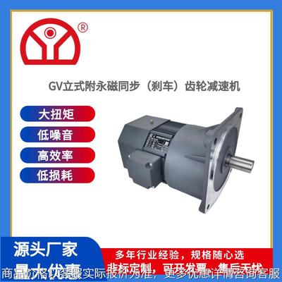 立式永磁同步三相异步电动机100200400高压直流齿轮减速电机