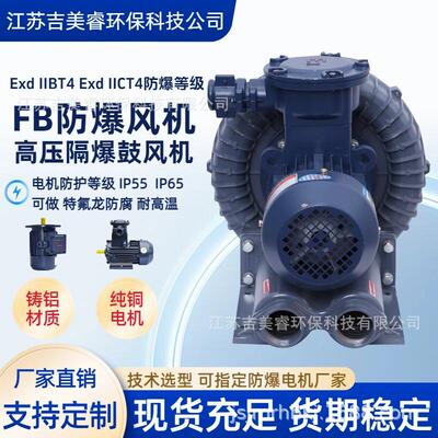 FB-20防爆高压风机 15KW耐高温漩涡气泵粉尘环境专用隔爆型鼓风机