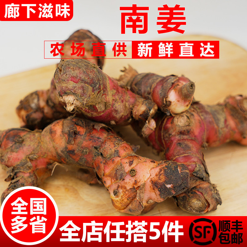 【廊下滋味】南姜500g 新鲜芦苇姜 泰式冬阴功汤调料火锅底料生姜