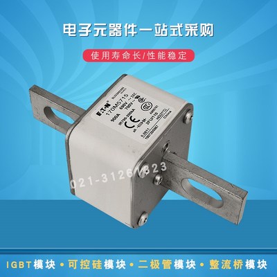 170M5715 5716 5717 5718 5720 5722 5723 5724 5725巴斯曼熔断器