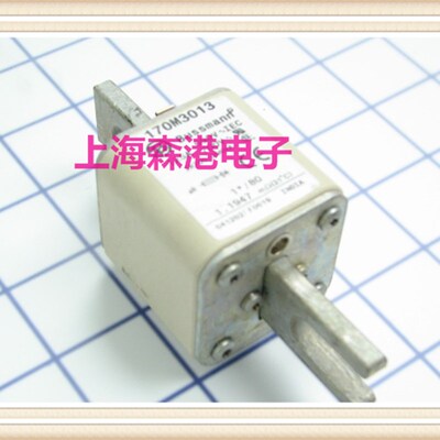 熔断器现货,全新底座,保险丝170M3013
