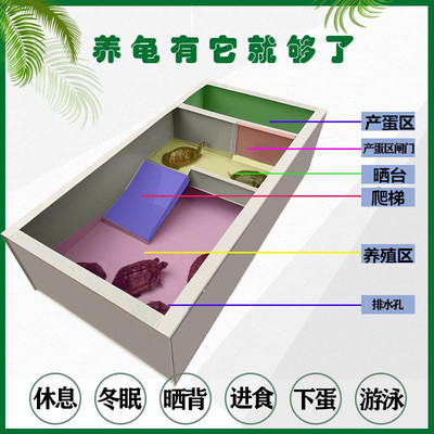 乌龟生态缸晒台龟箱龟池大型家用pp板塑J料养殖专用箱大别墅带排