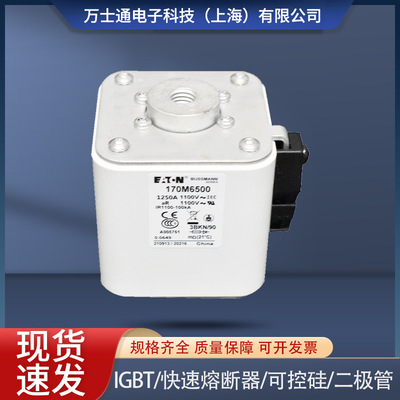 全新熔断器现货170M6499 170M6500 170M6501 170M6644 170M6645