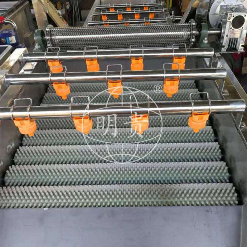 玉米气泡清洗机 水果蔬菜清洗流水线 大型洗果机器