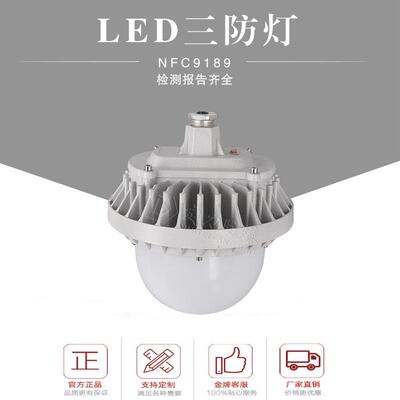 NFC9189泛光灯平台灯30W40W50W60W防水防尘防眩节能LED三防灯防爆
